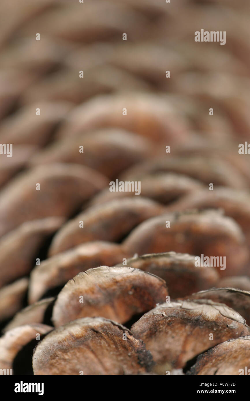 Tactile grooves hi-res stock photography and images - Alamy