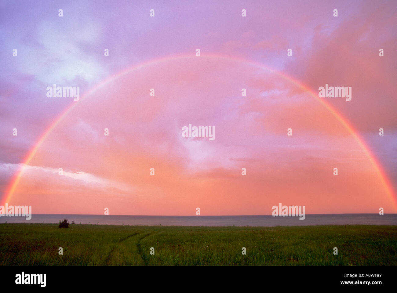 Path Through Grassy Meadow Leading to Complete Rainbow Over Lake ...