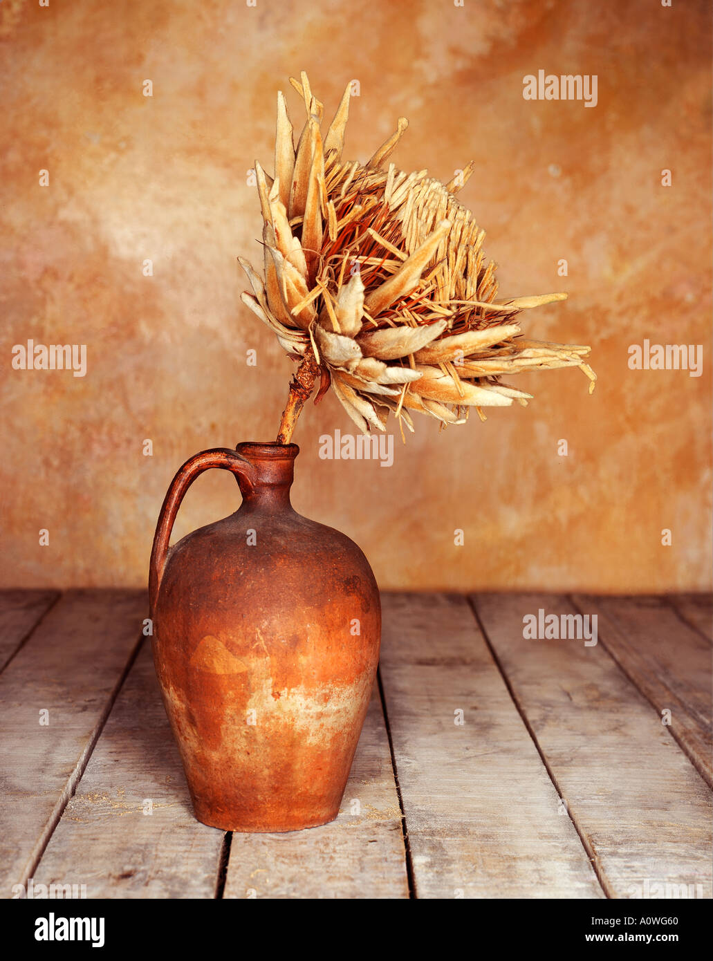 Dead flower vase hi-res stock photography and images - Alamy