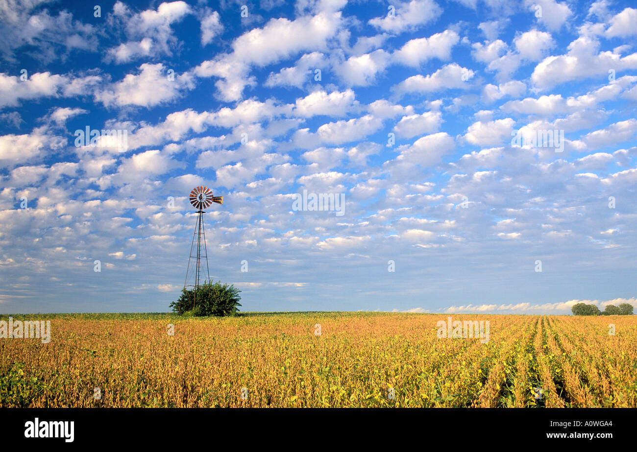 Corn field midwest windmill hi-res stock photography and images - Alamy