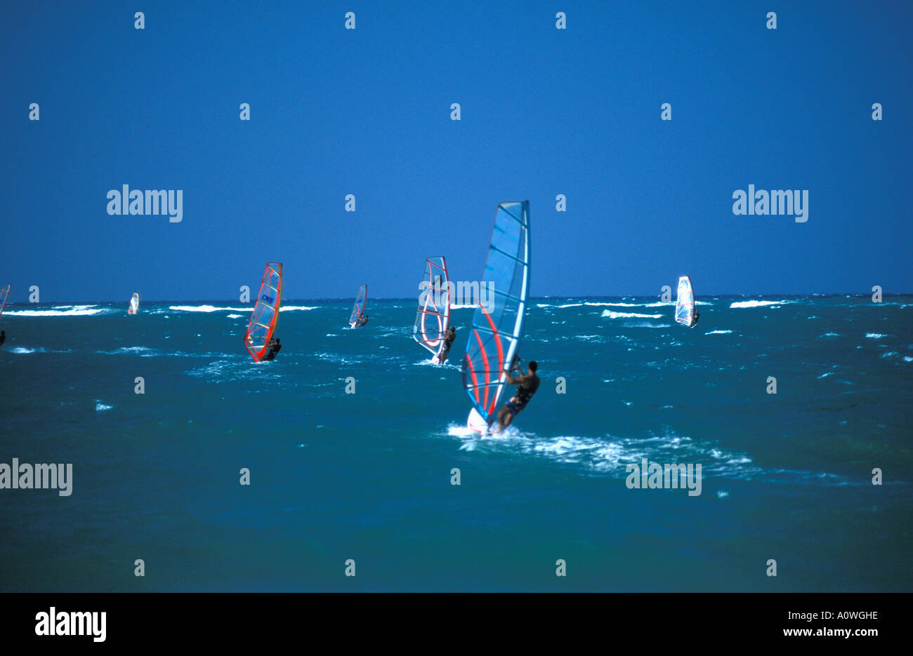 Dominican Republic Cabarete windsurfing Stock Photo - Alamy