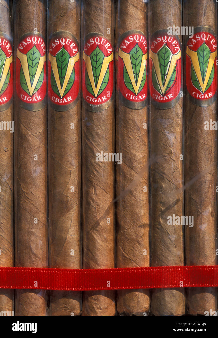 Dominican Republic Vasquez hand made cigars Stock Photo - Alamy