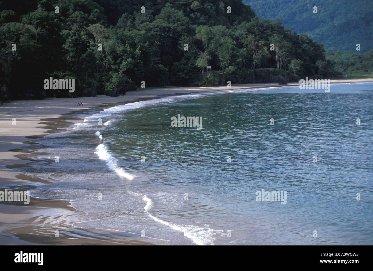 Tropics Couple alone on beach Stock Photo - Alamy