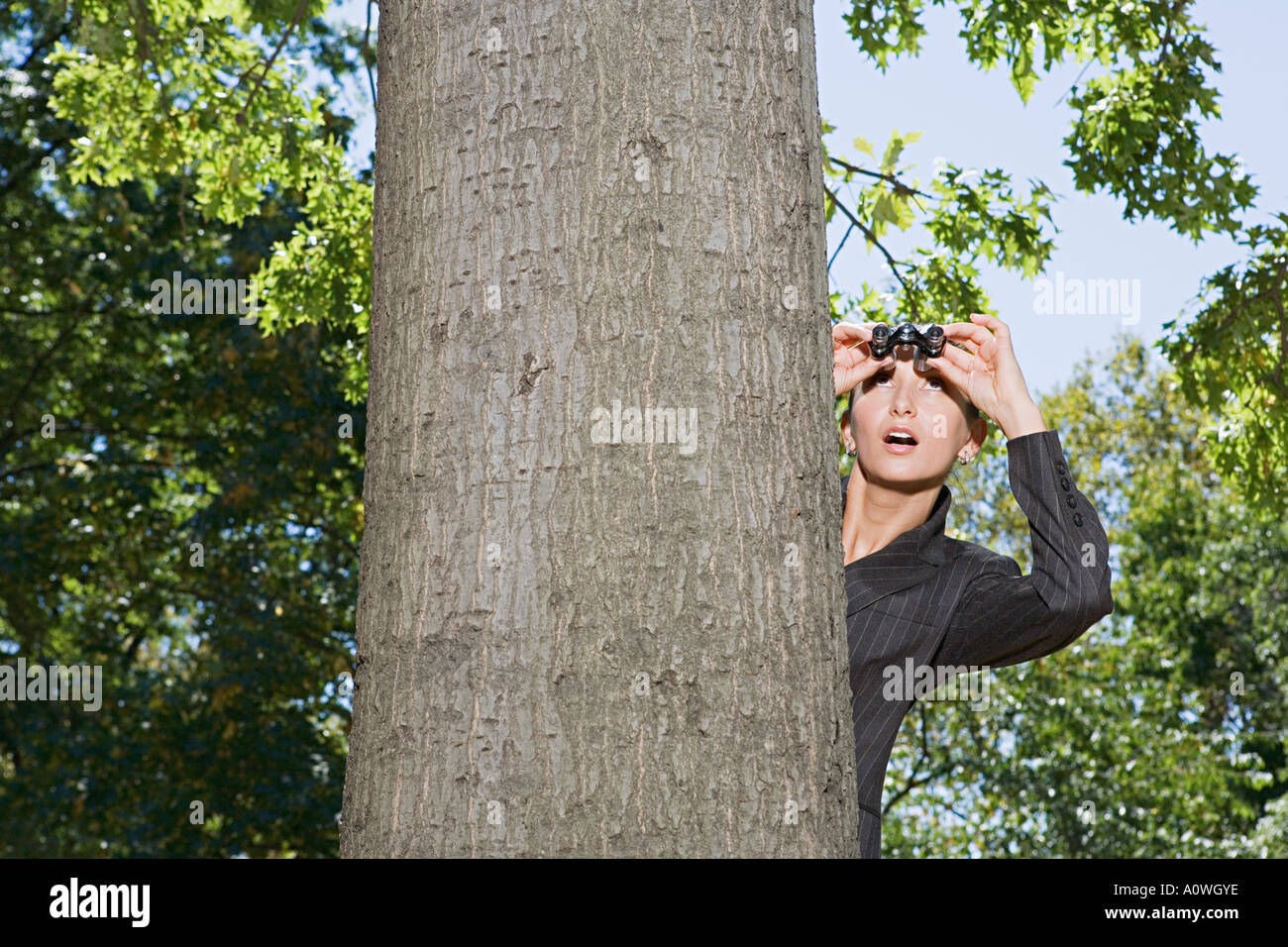 Businesswoman spying from behind a tree Stock Photo - Alamy