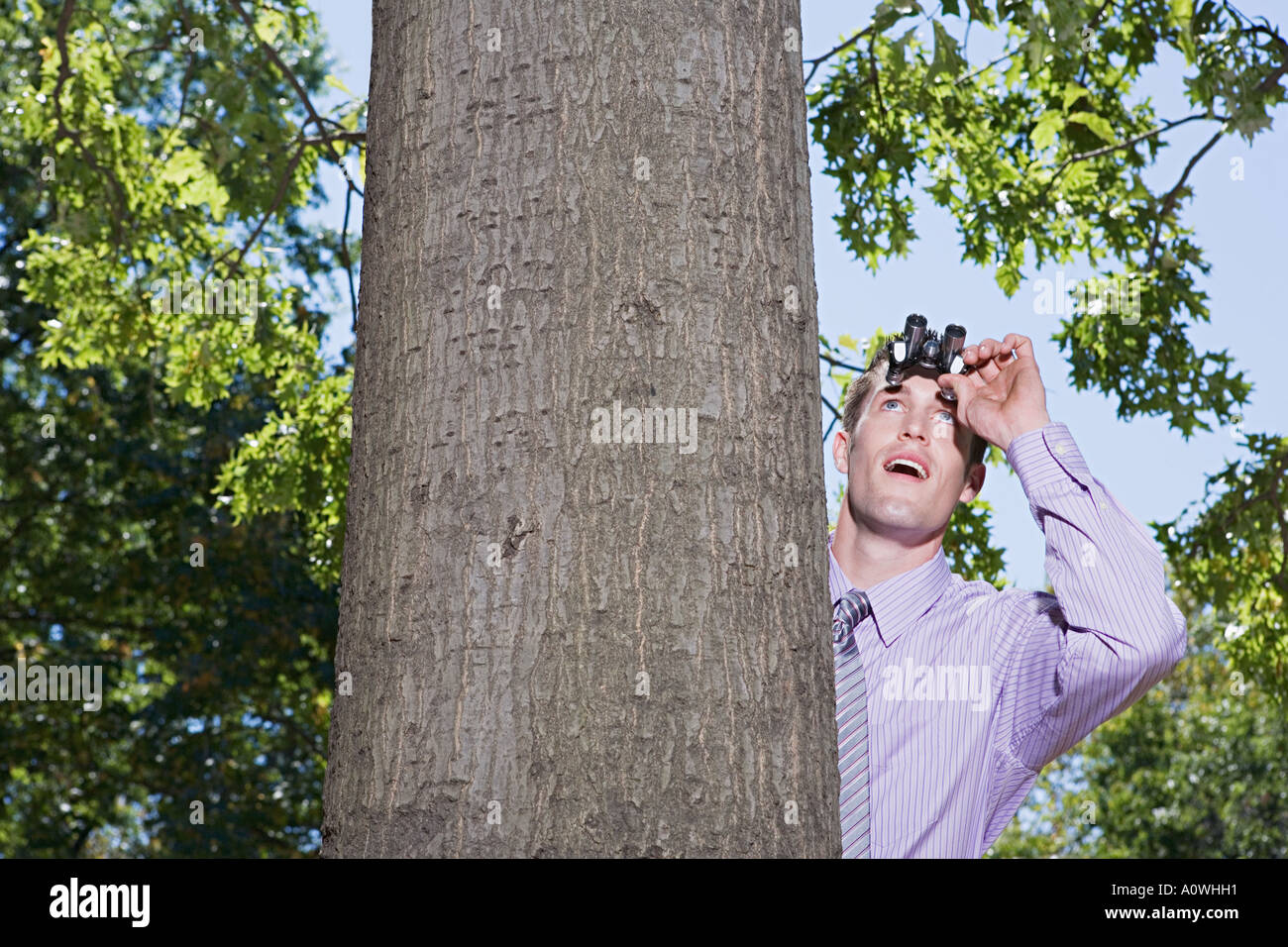 Man using binoculars from behind a tree Stock Photo - Alamy