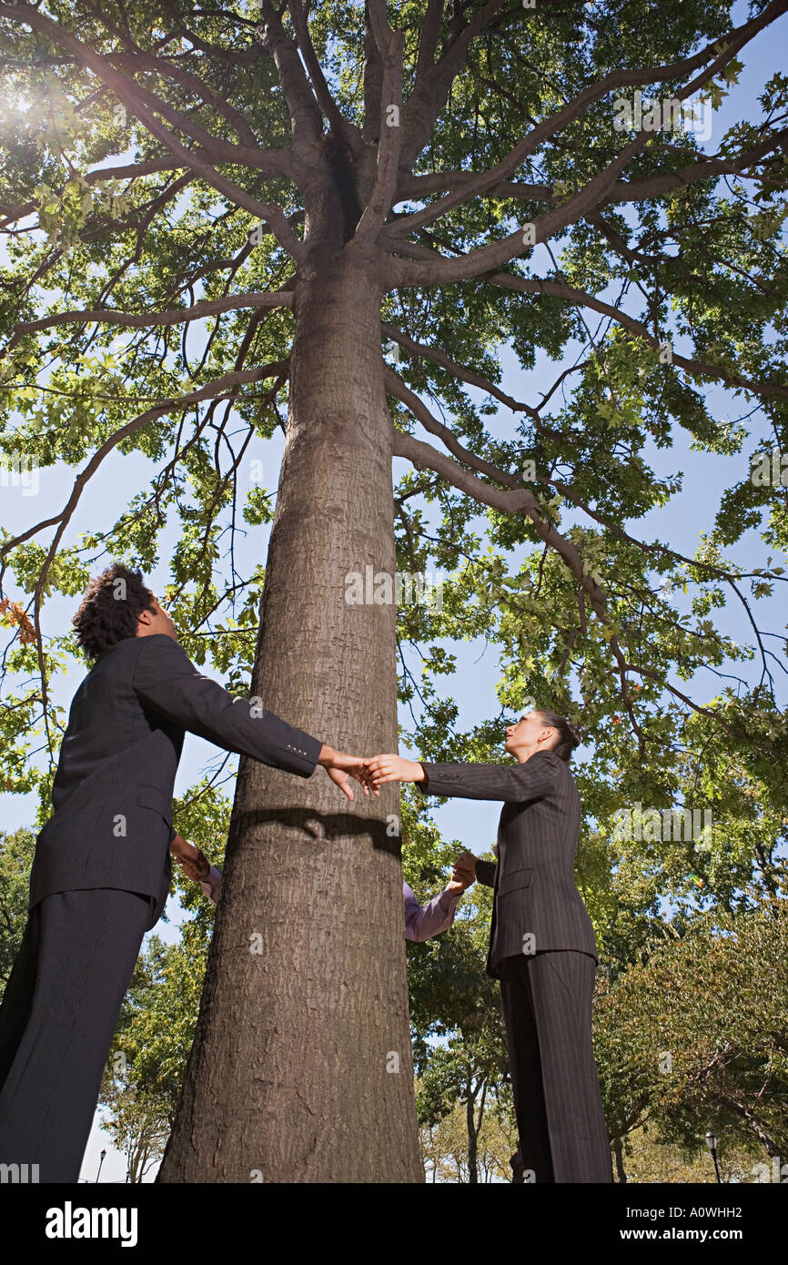 Holding hands around a tree hi-res stock photography and images - Alamy