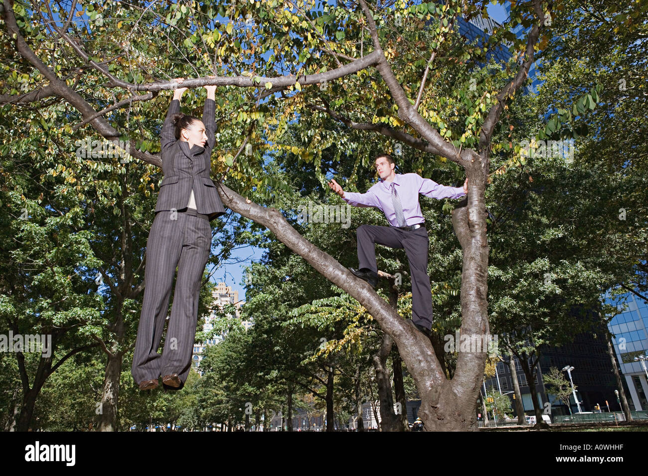 Tree Branch Support High Resolution Stock Photography and Images - Alamy