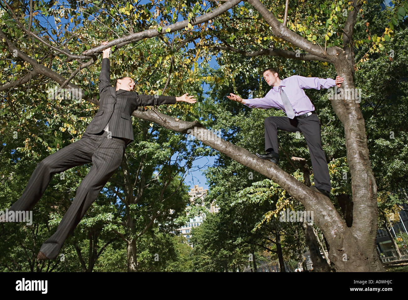 Tree Branch Support High Resolution Stock Photography and Images - Alamy