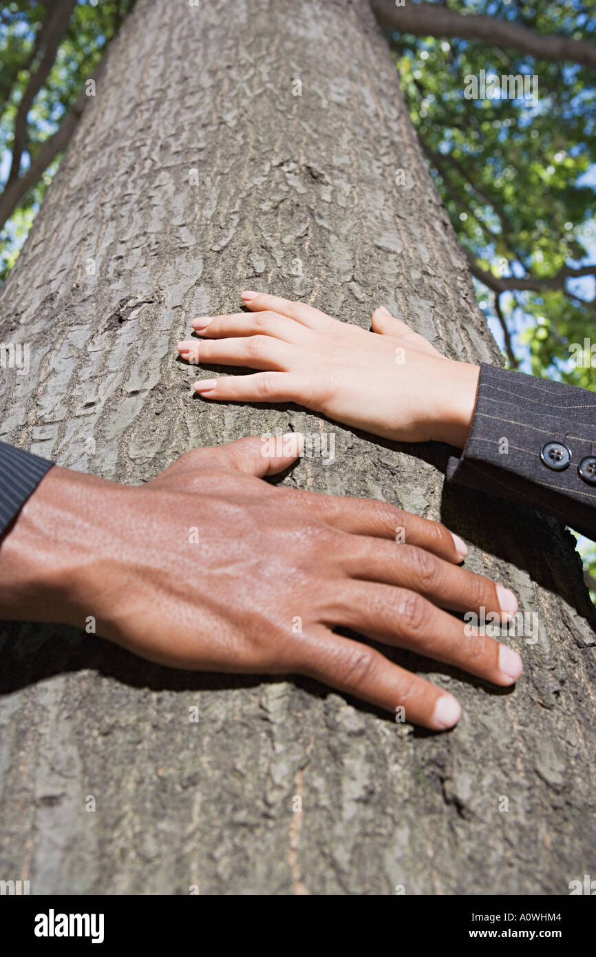 Businesspeople hugging a tree Stock Photo - Alamy