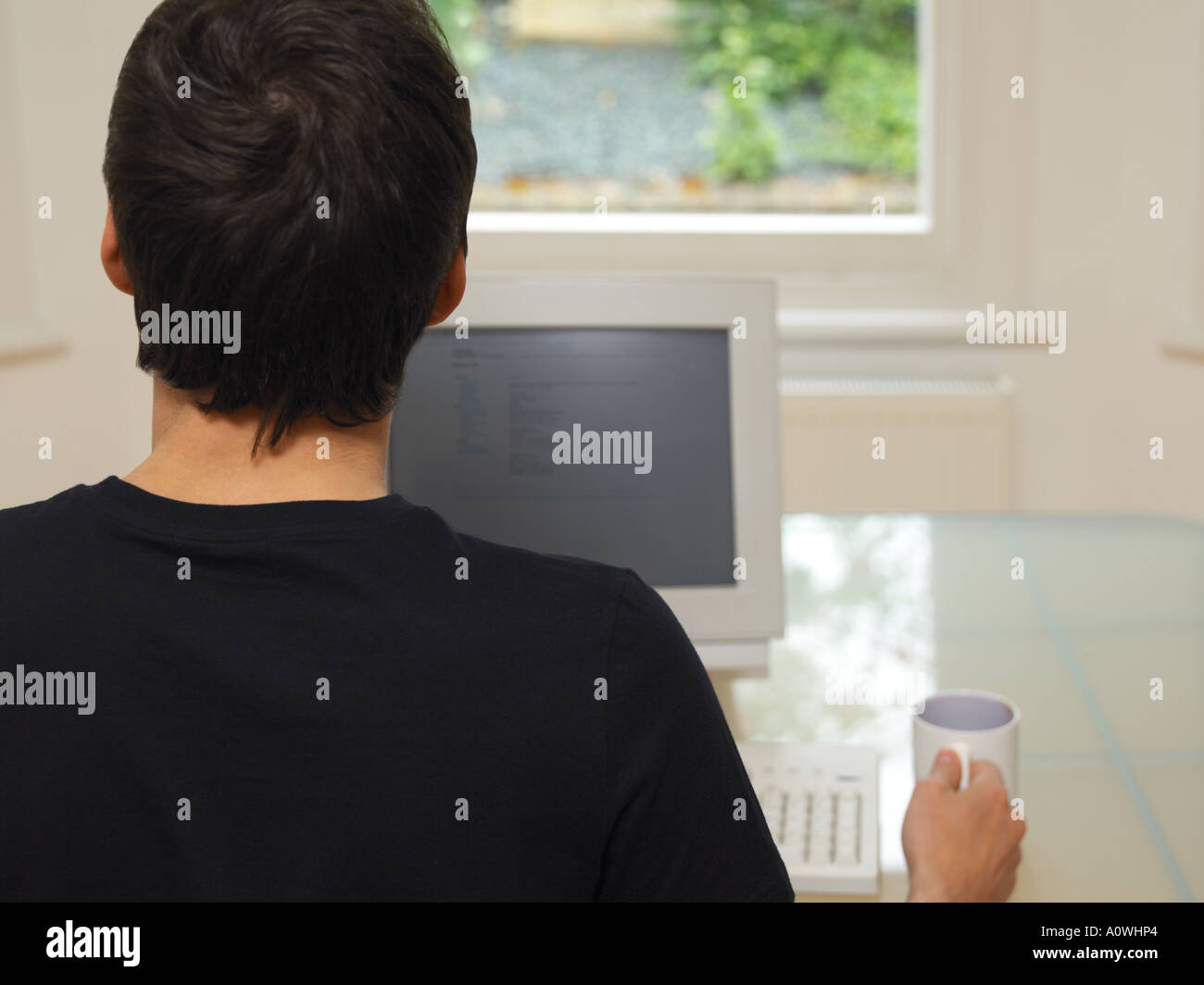Man computer rear view hi-res stock photography and images - Alamy