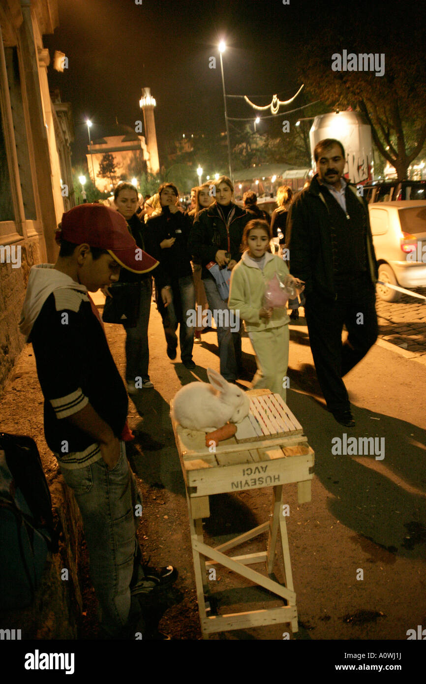 FORTUNE TELLING RABBITS SET UP FOR RAMADAN FESTIVITIES, ISTANBUL ...