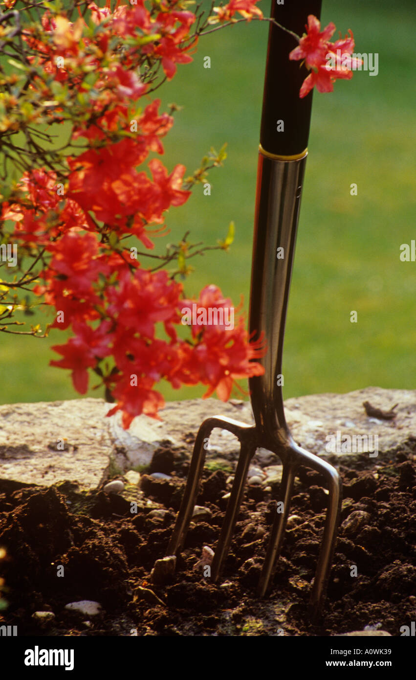 Compost for azaleas hi-res stock photography and images - Alamy