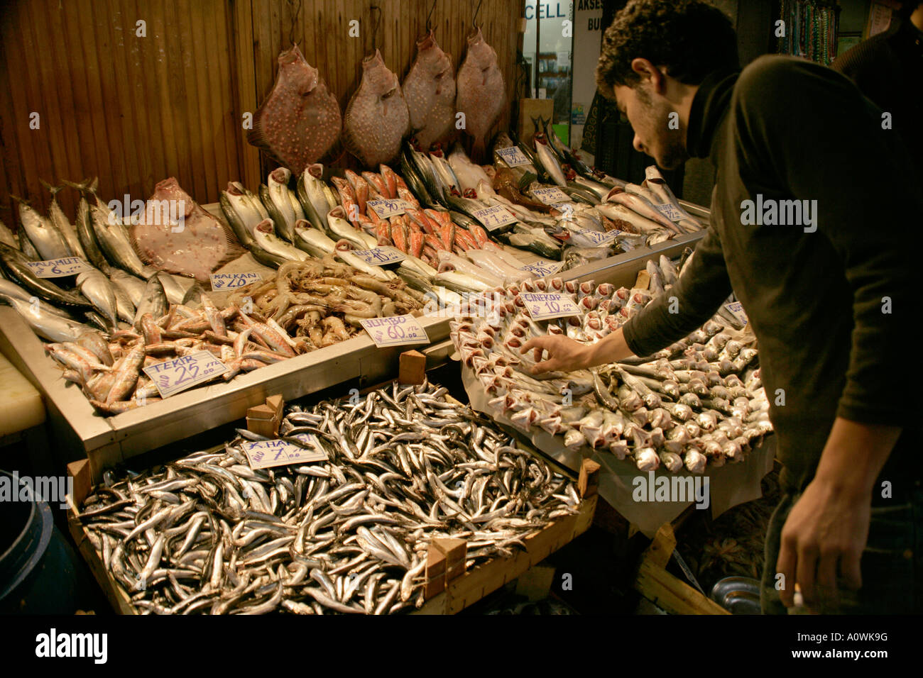 FRESH FISH FOR SALE, ISTANBUL, TURKEY Stock Photo - Alamy
