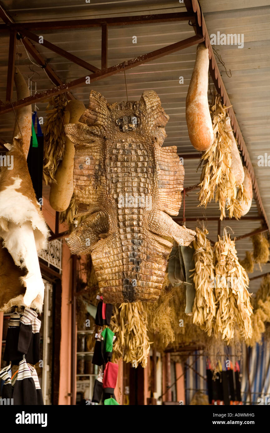 Crocodile skins for sale hi-res stock photography and images - Alamy