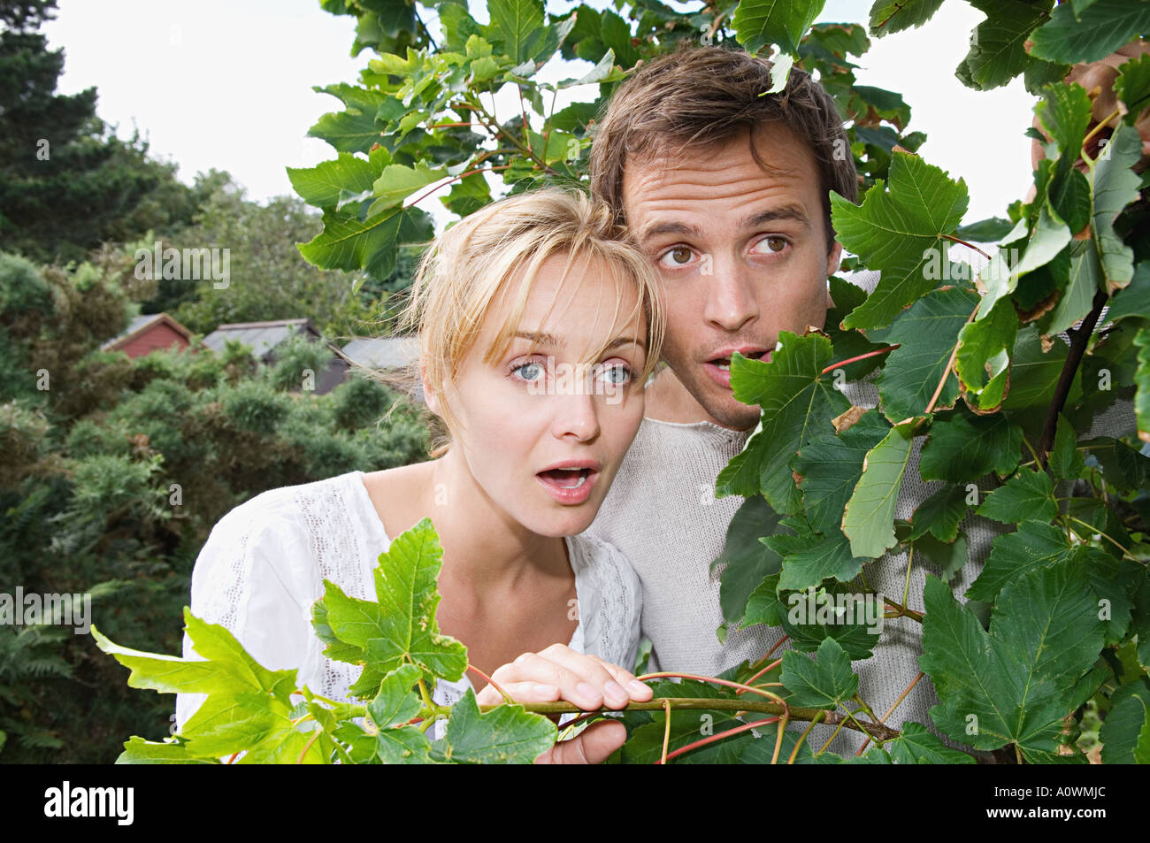 Man peeking behind tree hi-res stock photography and images - Alamy