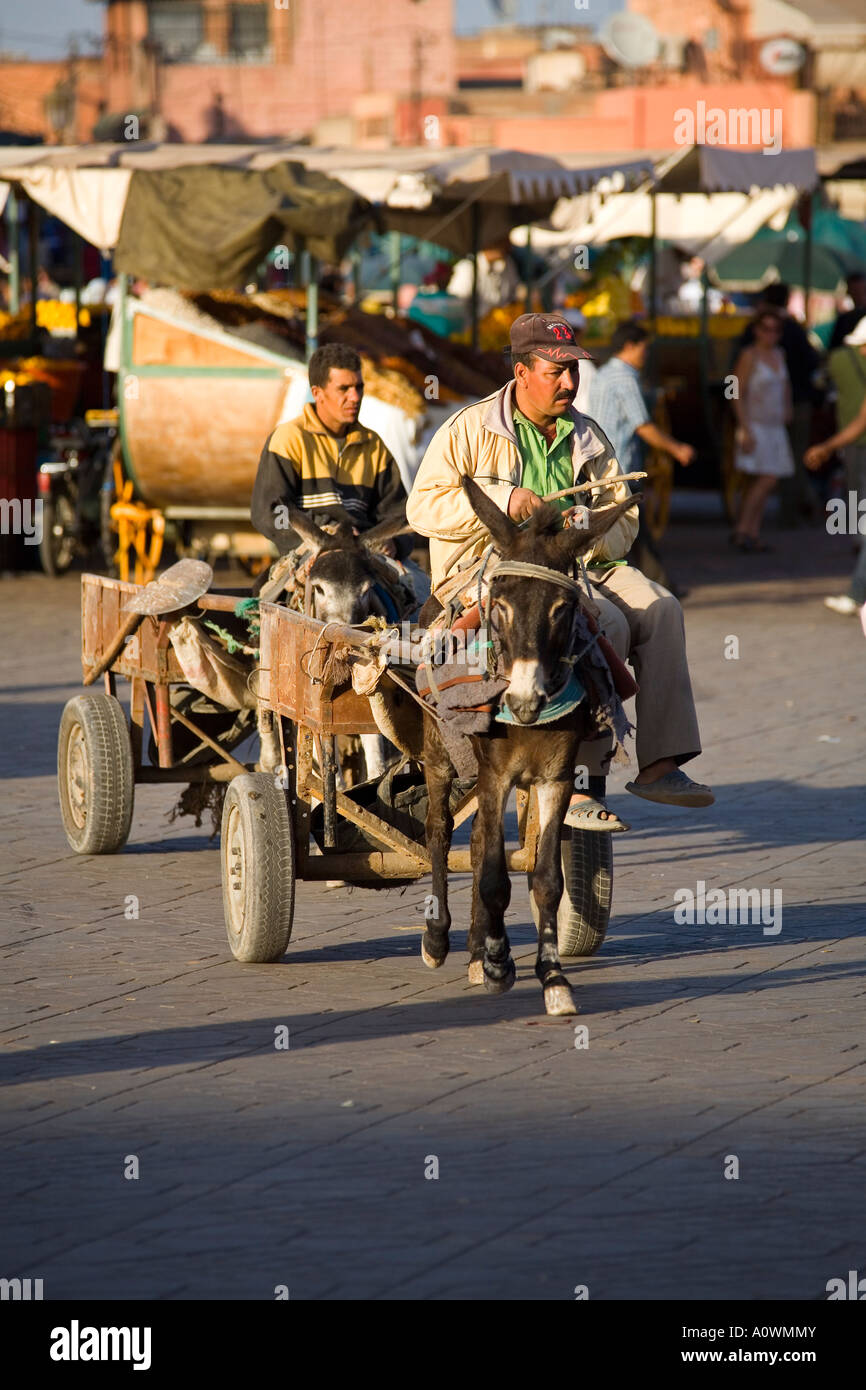 Donkey and cart in the Djemaa el Fna market square in Marrakech Morocco Stock Photo - Alamy