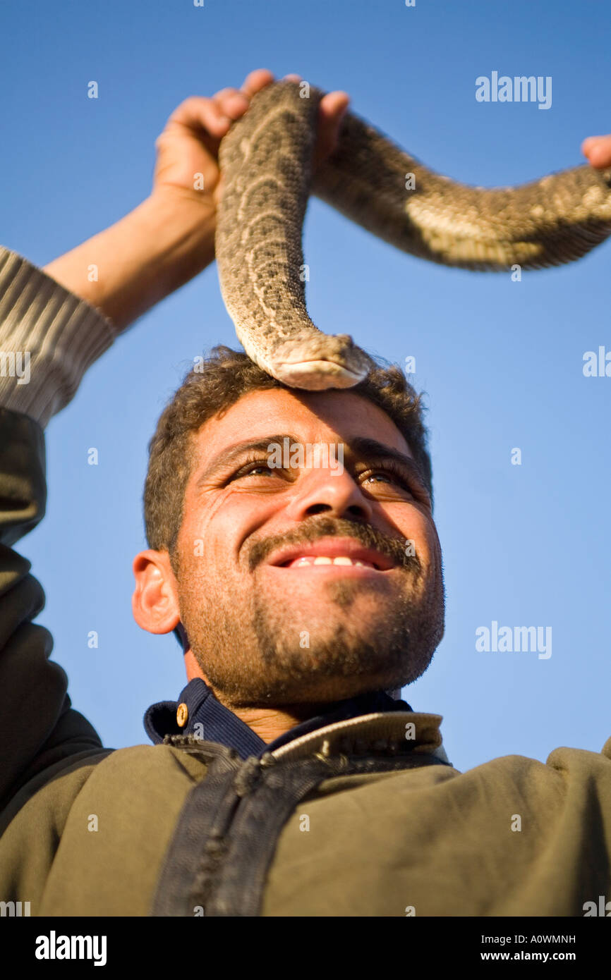 Snake charmer in the Djemaa el-Fna market in Marrakech Morocco Stock ...