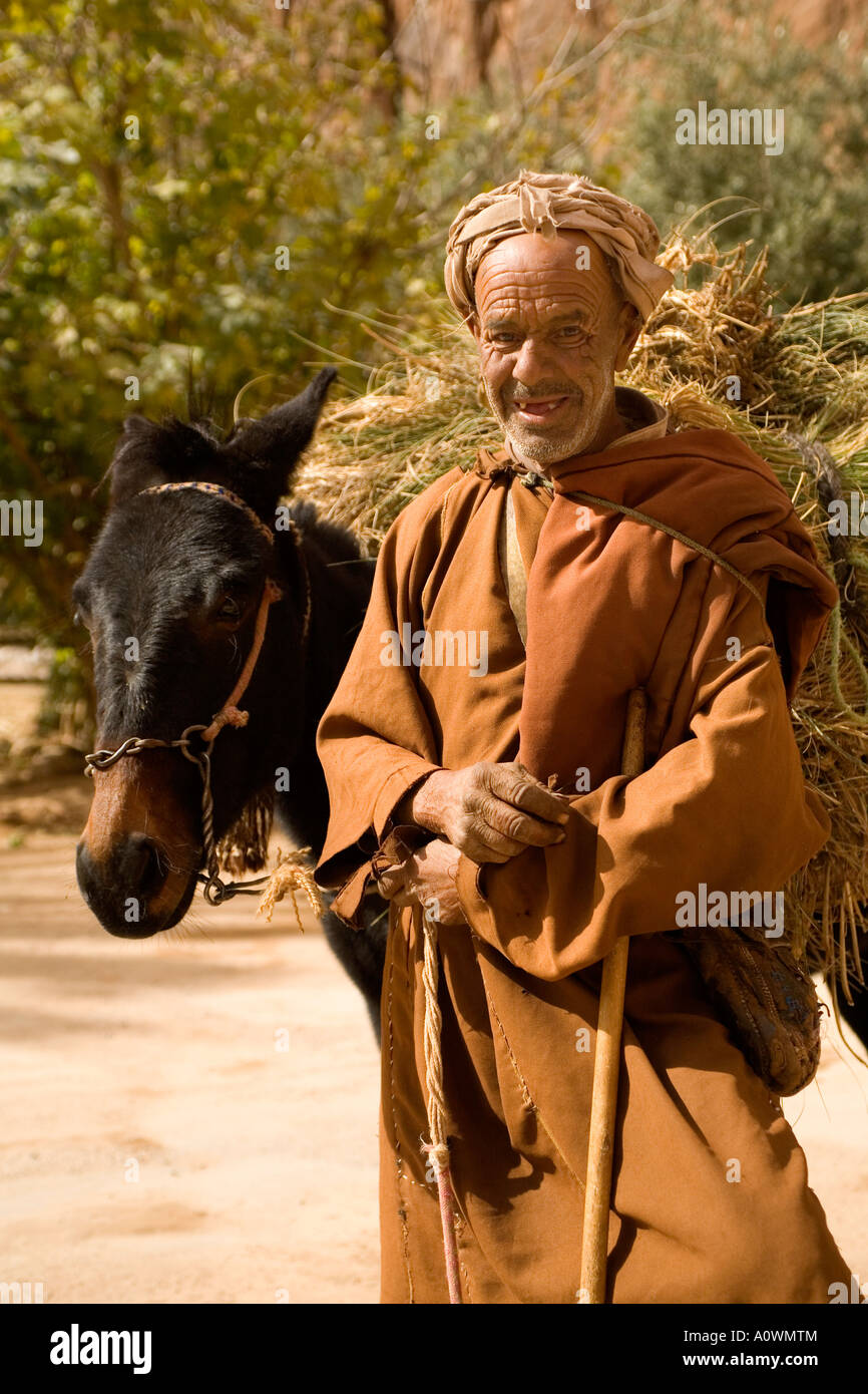 Berber man and mule in Todra Gorge in Morocco Stock Photo - Alamy