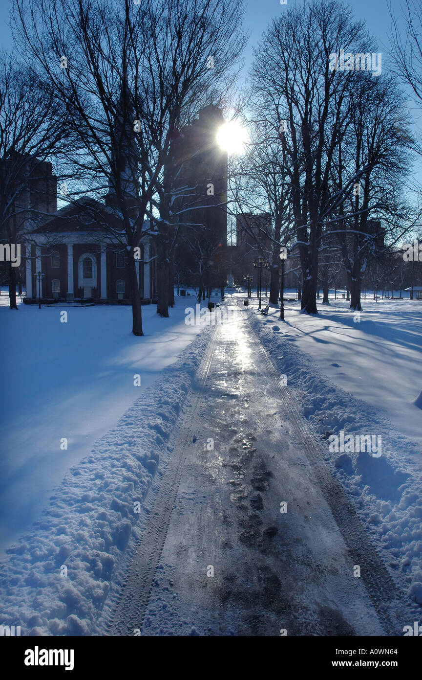 Snow and trees New Haven Connecticut City Scenics Business Center Stock ...