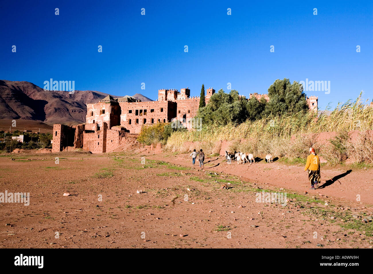 Thami Glaoui High Resolution Stock Photography and Images - Alamy