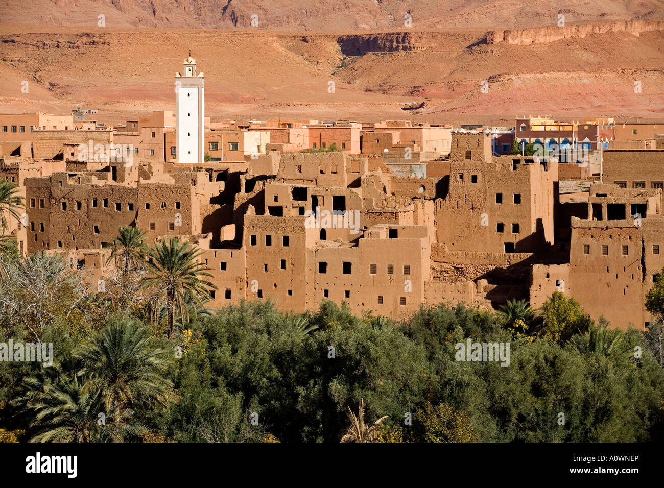 Todra Gorge in Morocco Stock Photo - Alamy