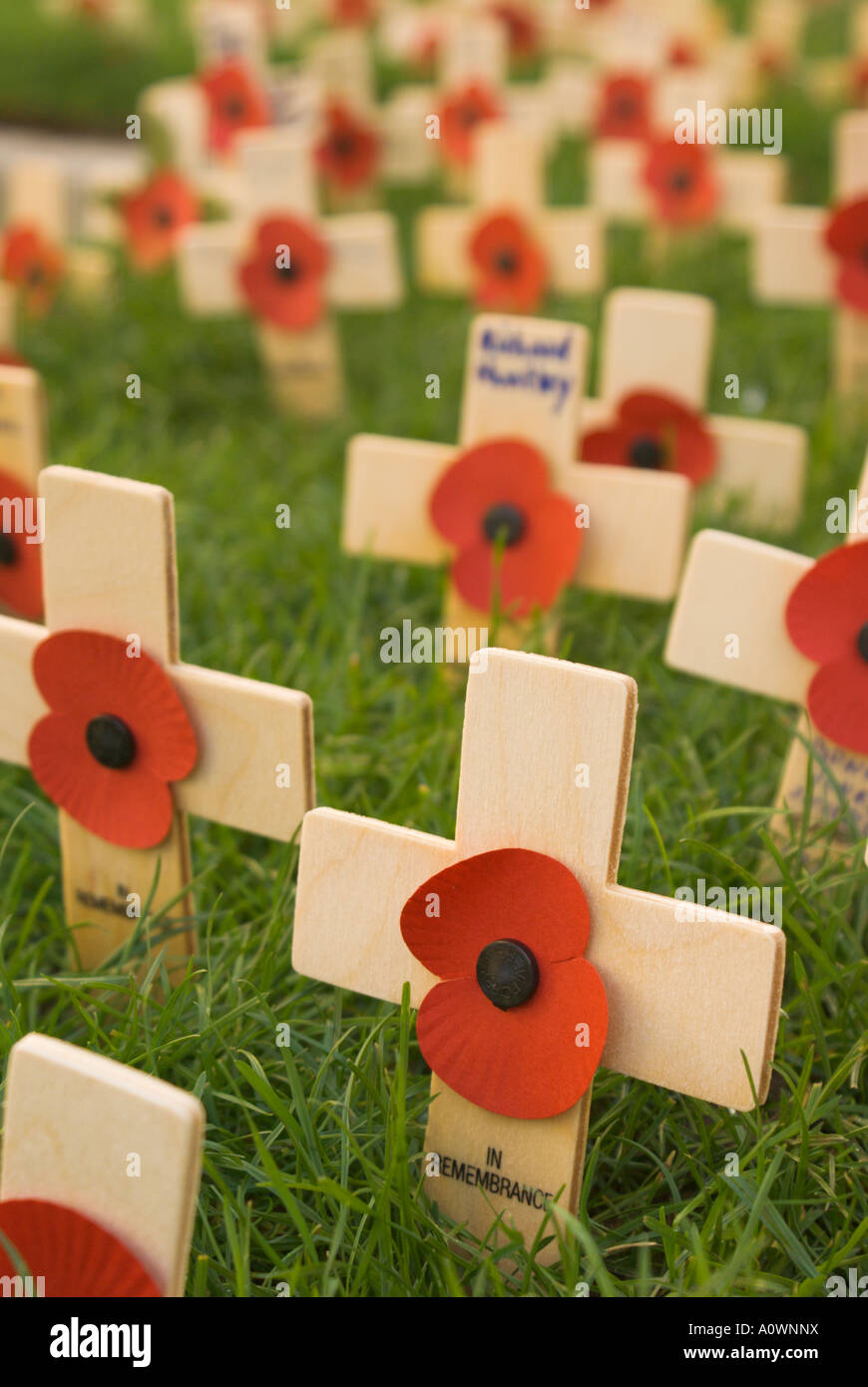 The Field of Remembrance outside Bath Abbey Stock Photo - Alamy