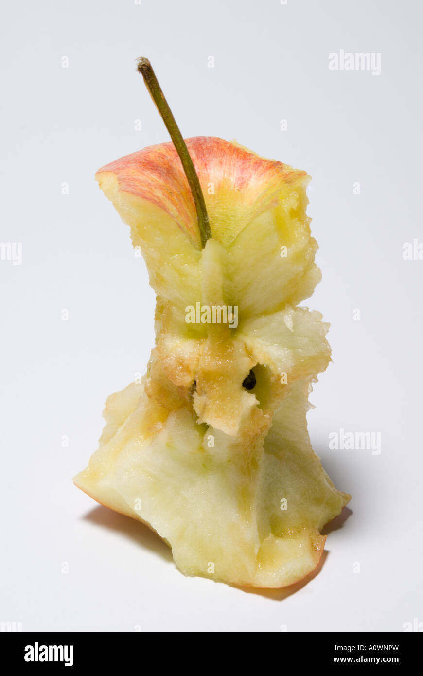 An apple core on a white background Stock Photo - Alamy