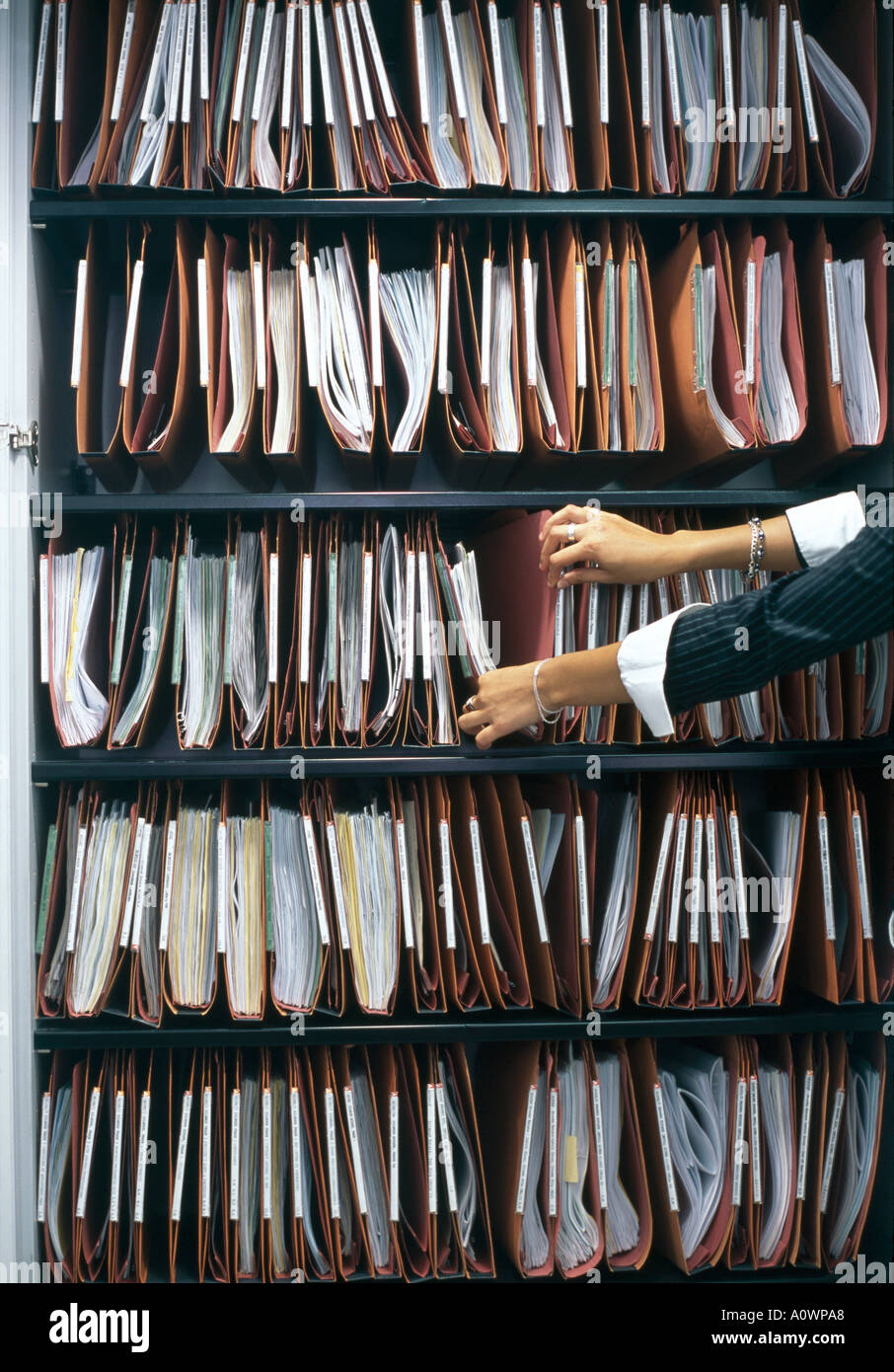 Office life and interiors. Filing cupboard and hands of woman filing ...