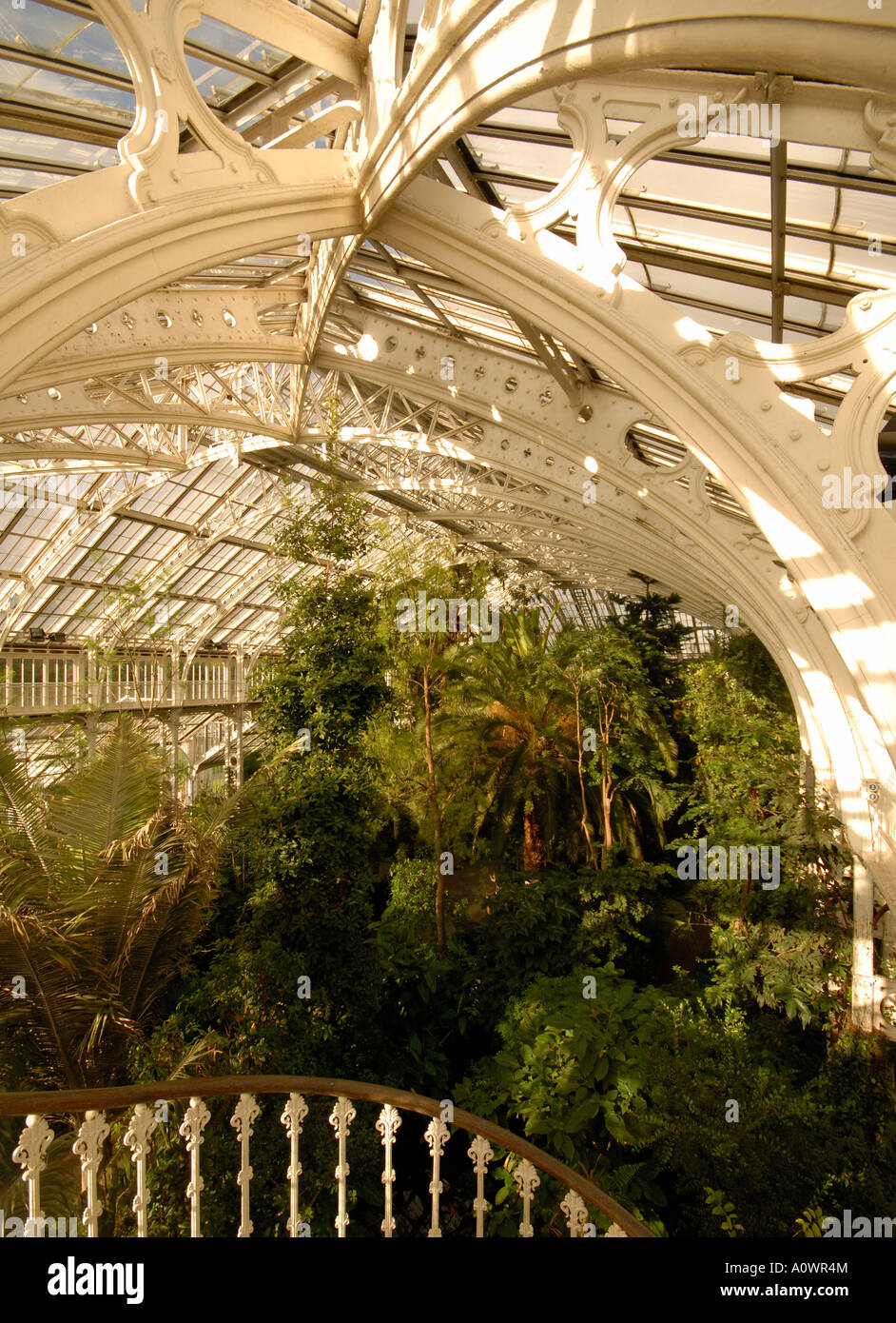 The Temperate House at Kew Gardens, Surrey Stock Photo - Alamy