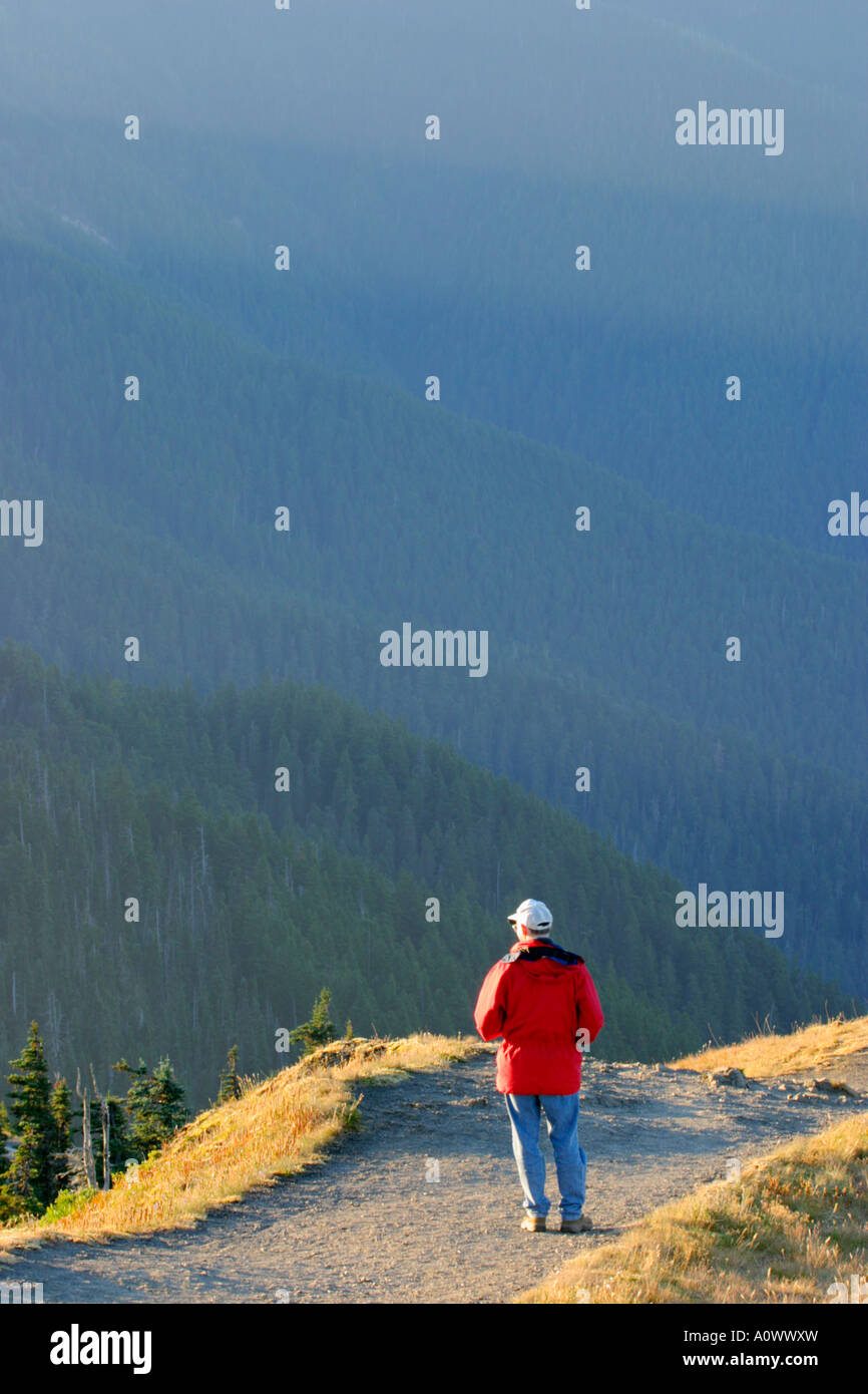 Hiker on hiking trail viewing valley and forest on summer morning at ...