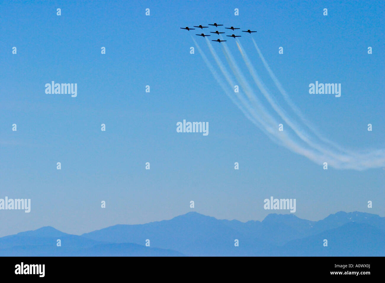 Canadian forces Snowbirds aerobatic flight team in maneuvers over ...