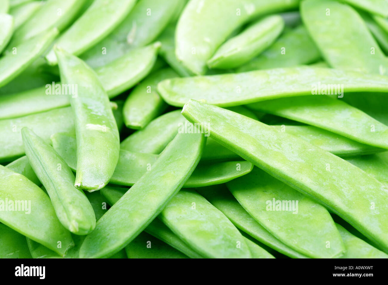 Food vegetable vegetables healthy mange tout sugar snap hi-res stock ...