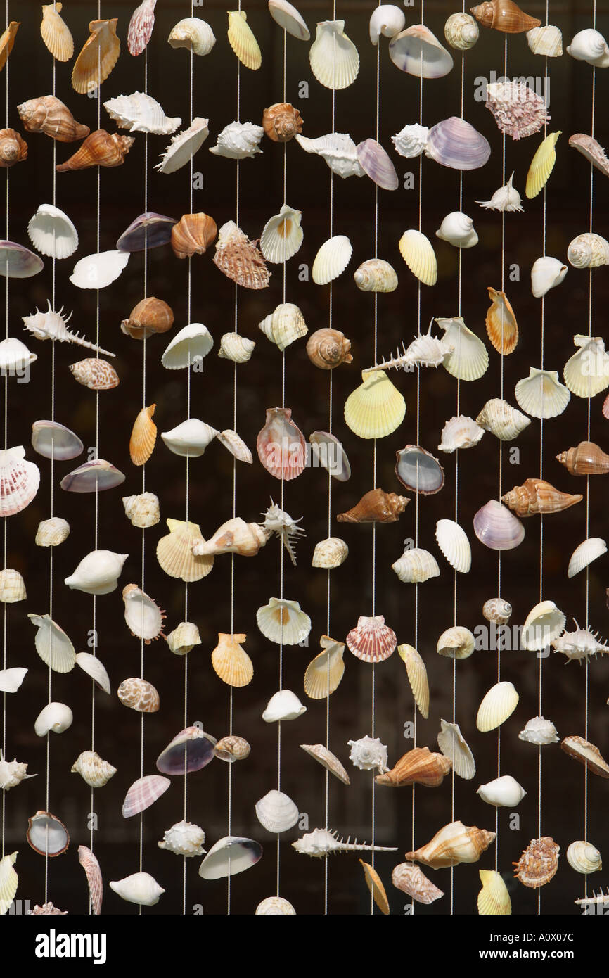 Seashell ridges hi-res stock photography and images - Alamy