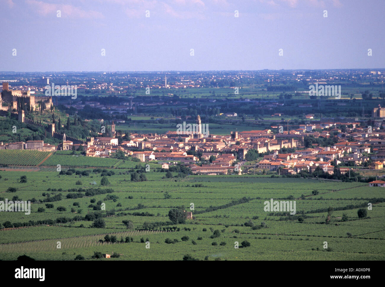 Soave italy hi-res stock photography and images - Alamy