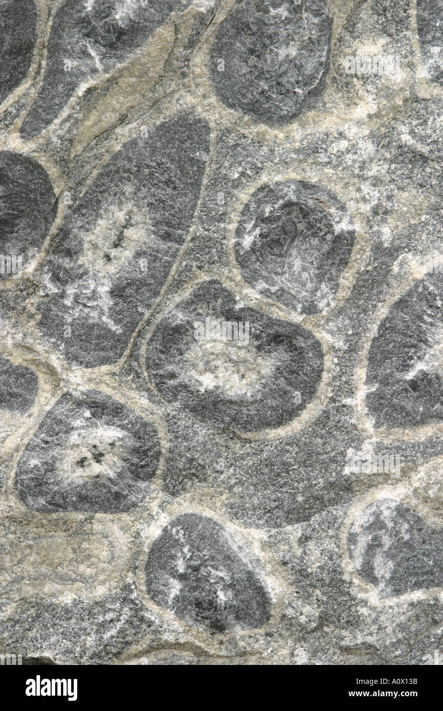 Embossed parts hi-res stock photography and images - Alamy