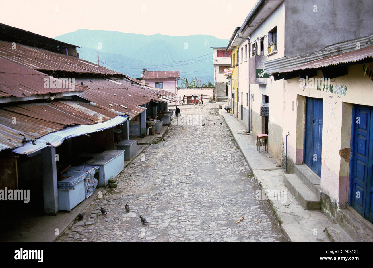 Coroico, Bolivia. Street and houses away from the centre of town Stock ...