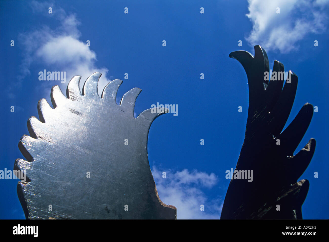 Winged rabbit hi-res stock photography and images - Alamy