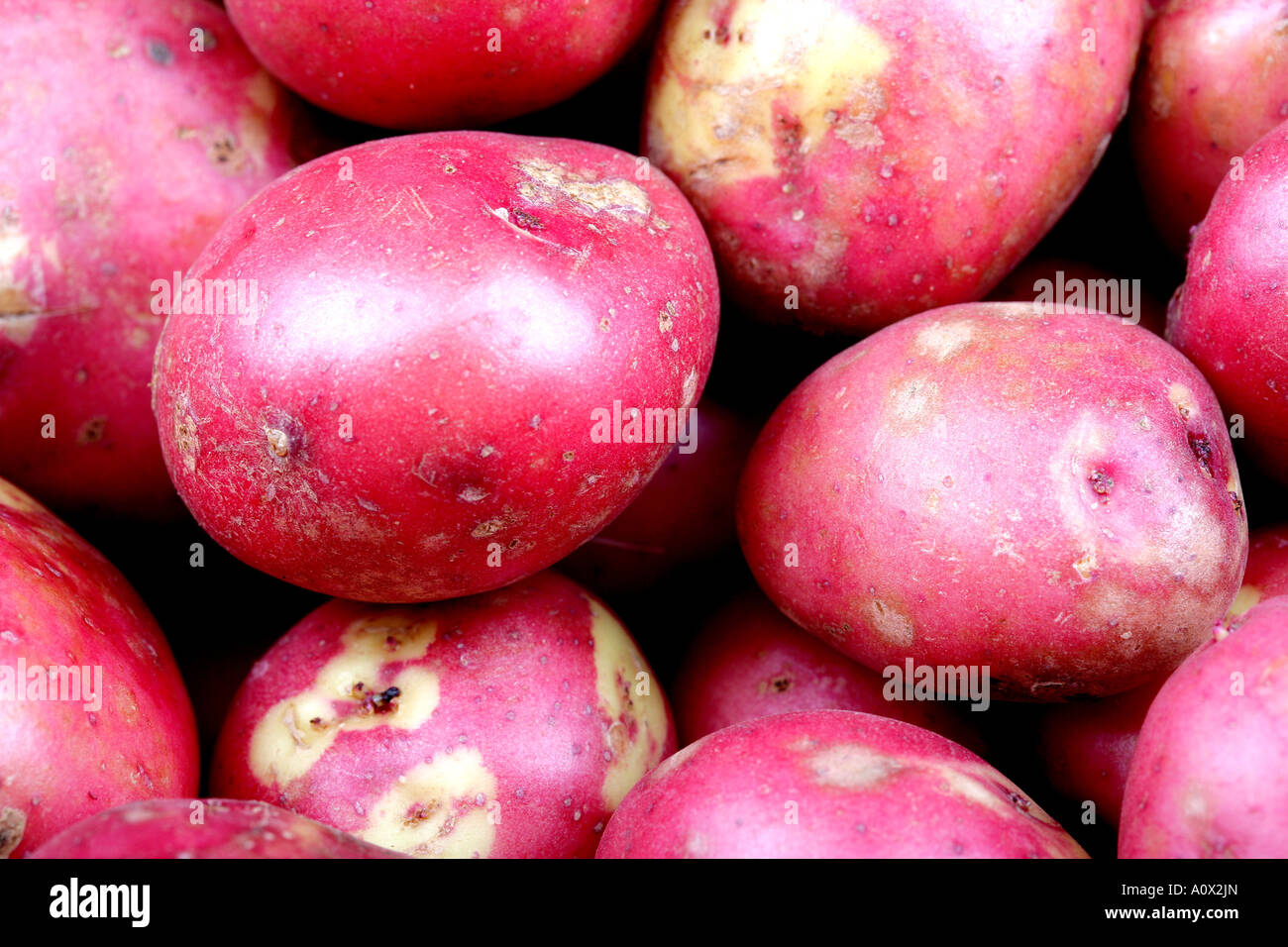 Red potato skins hi-res stock photography and images - Alamy