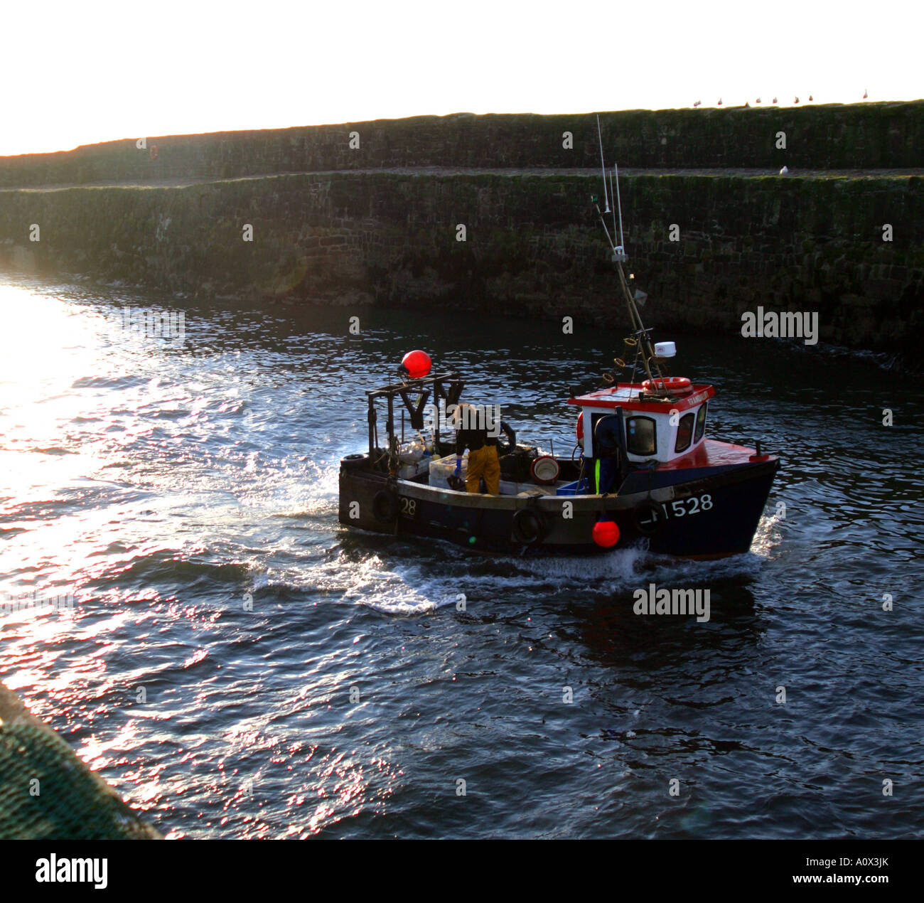 INSHORE FISHING BOAT LEAVES PITTENWEEM HARBOUR EARLY MORNING TO CATCH ...