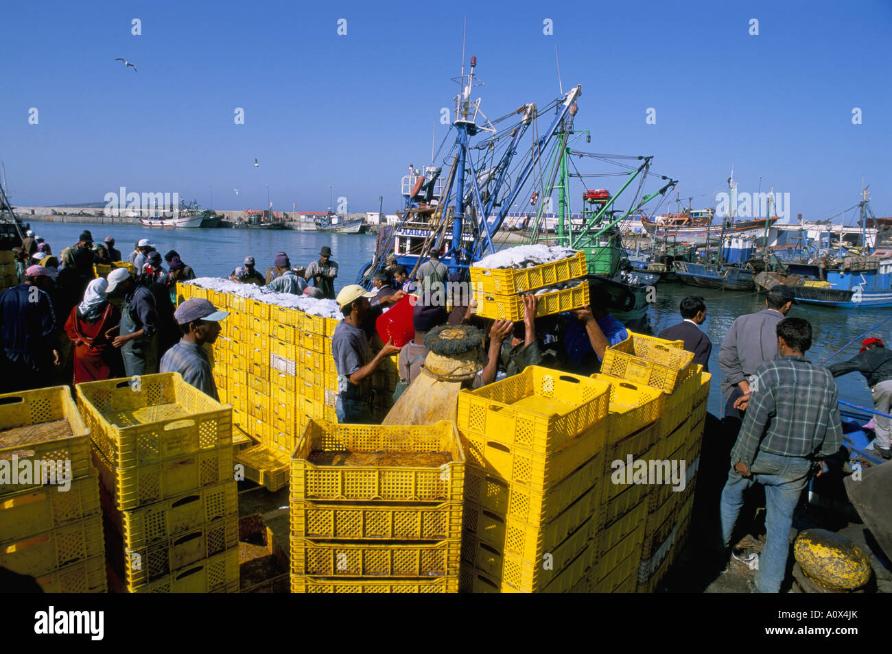Sardine fleet hi-res stock photography and images - Alamy