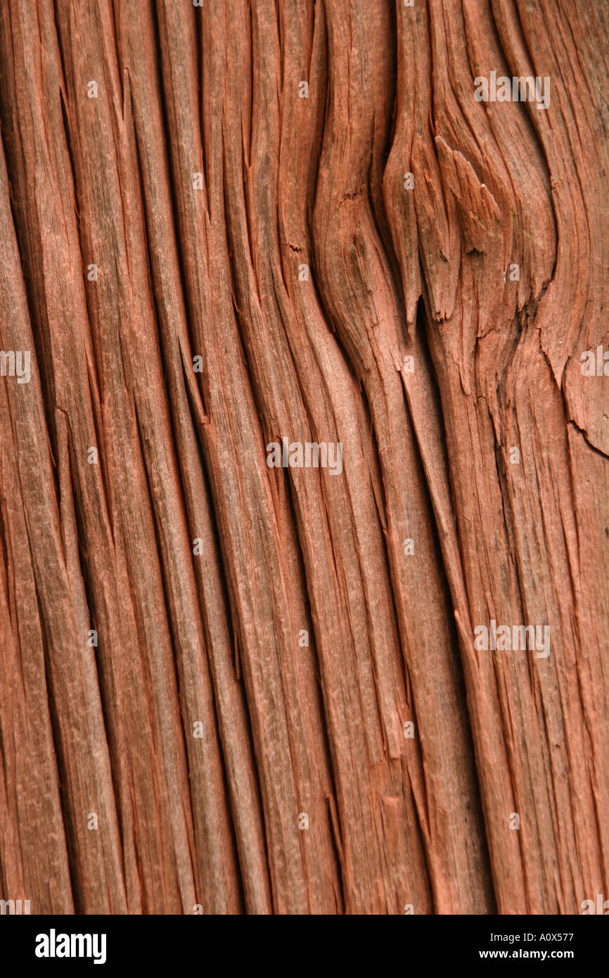 Tactile grooves hi-res stock photography and images - Alamy