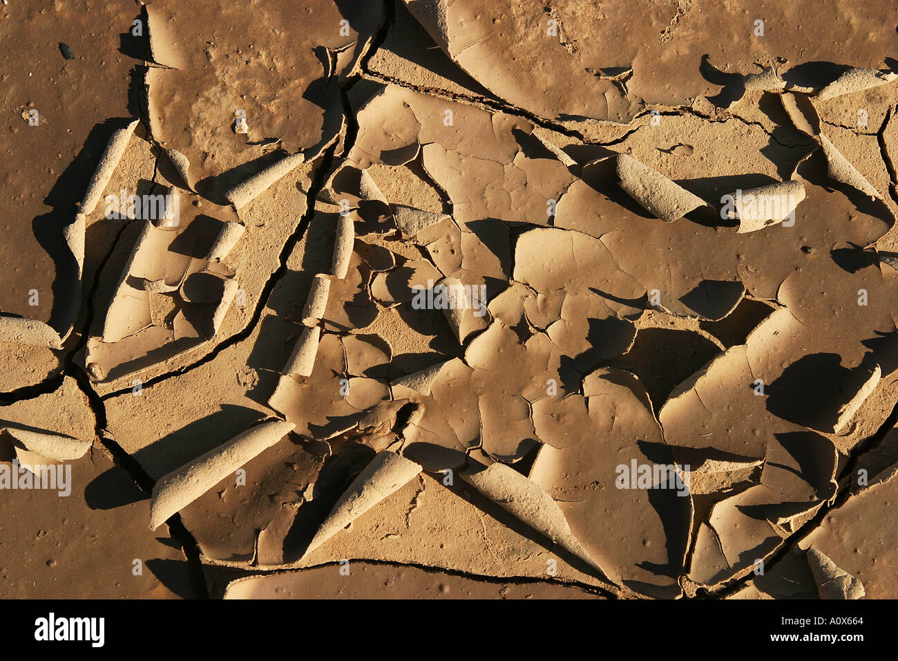 Mud flakes hi-res stock photography and images - Alamy