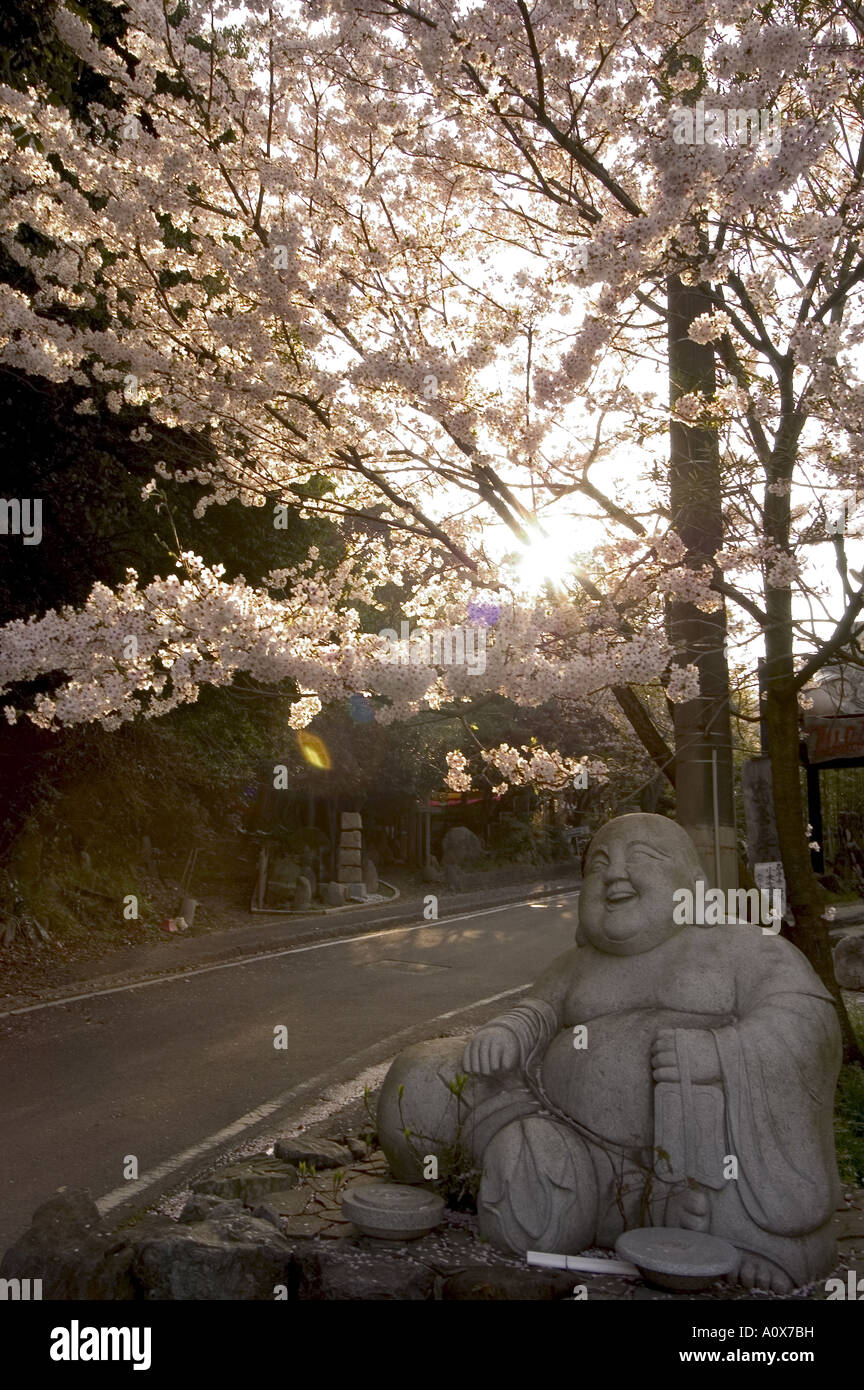 Buddha statue spring cherry blossom Ishiteji temple Matsuyama city ...