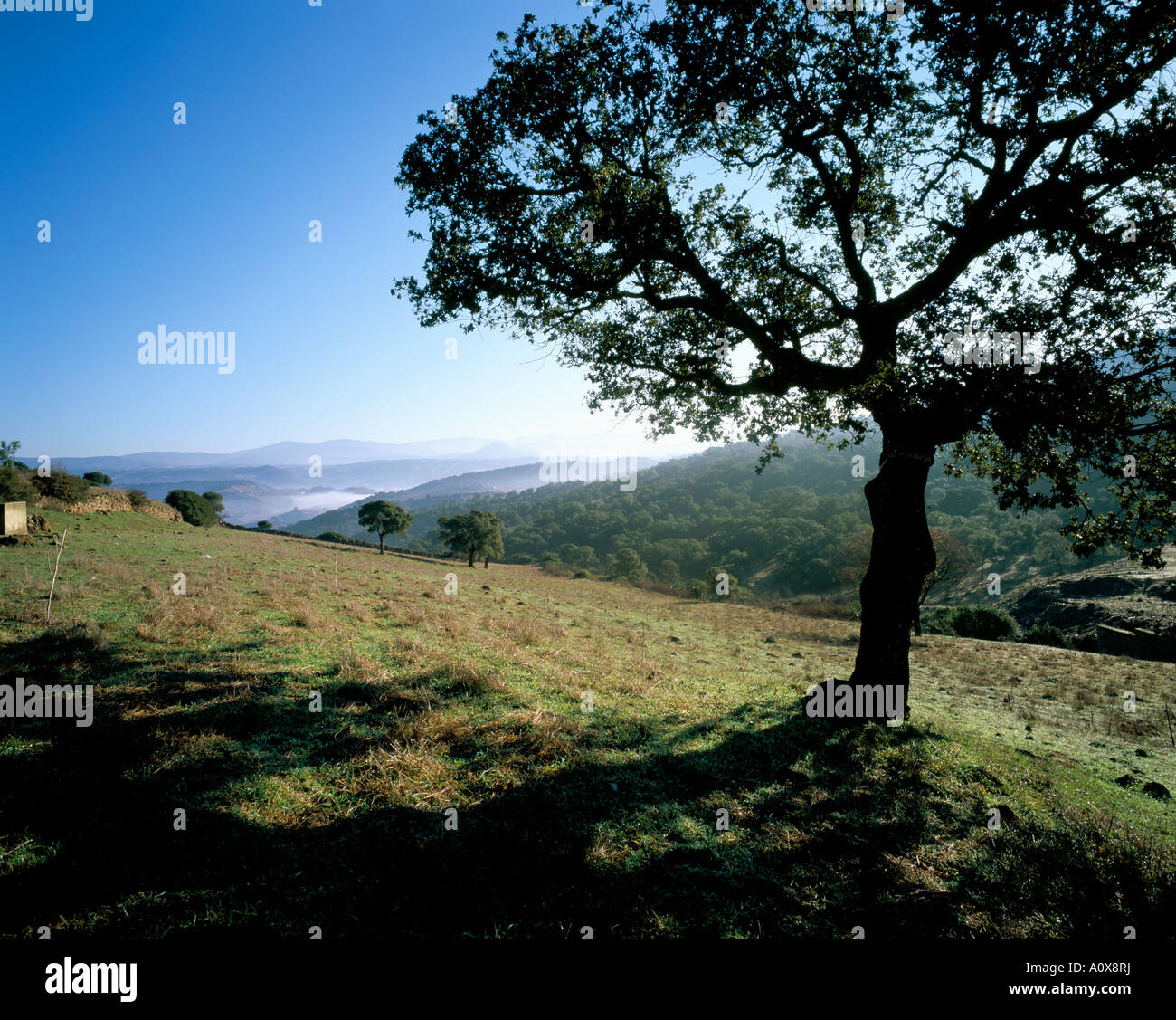 Landscape Barbagia island of Sardinia Italy Europe Stock Photo - Alamy