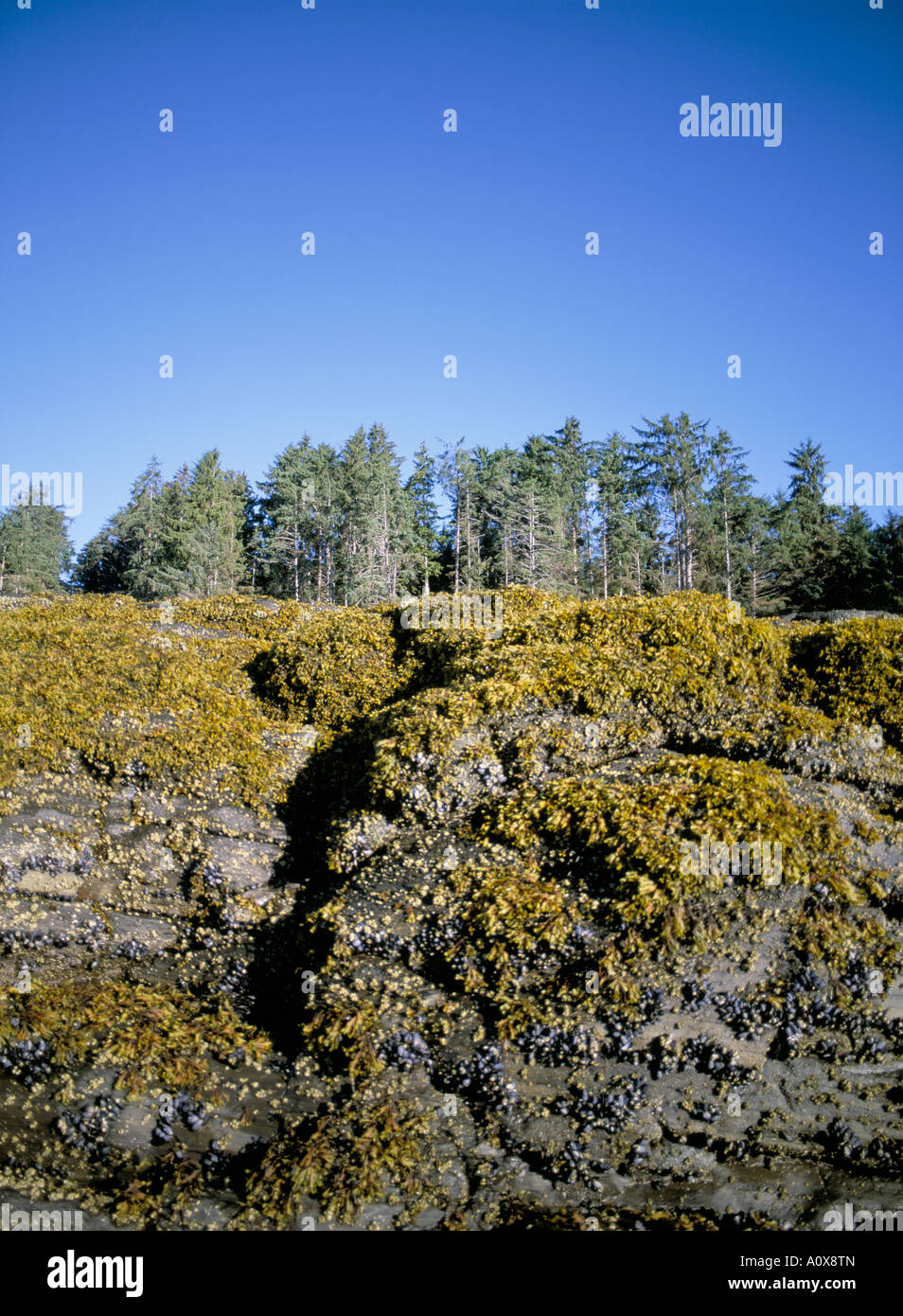 B c british columbia hi-res stock photography and images - Alamy