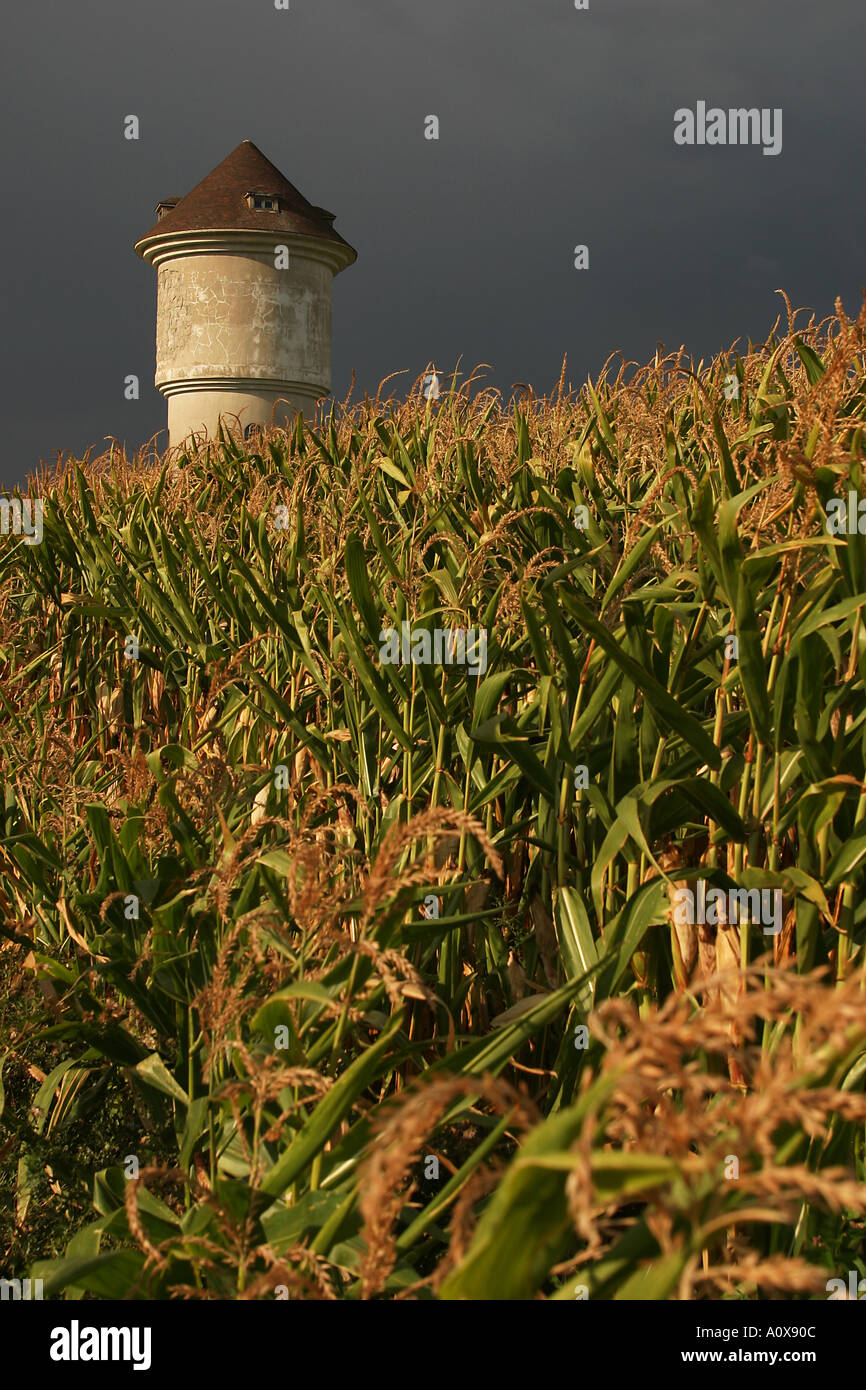 crop, field, agriculture, france Stock Photo - Alamy