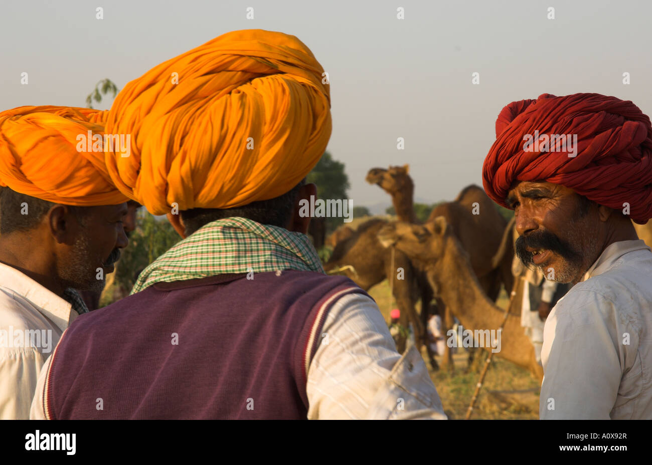 Nomadic Tribes Of India High Resolution Stock Photography and Images ...