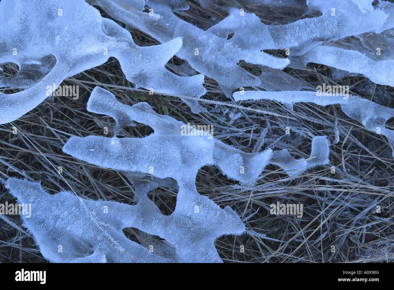 Incrusted hi-res stock photography and images - Alamy