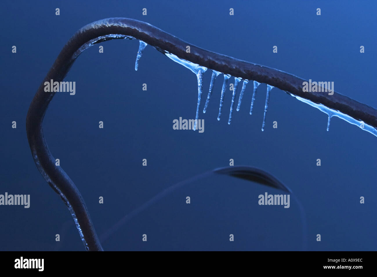 Incrusted hi-res stock photography and images - Alamy