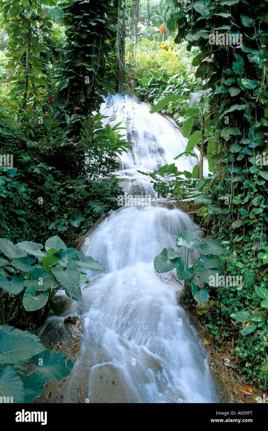 Shaw waterfalls Ocho Rios Jamaica West Indies Central America Stock ...